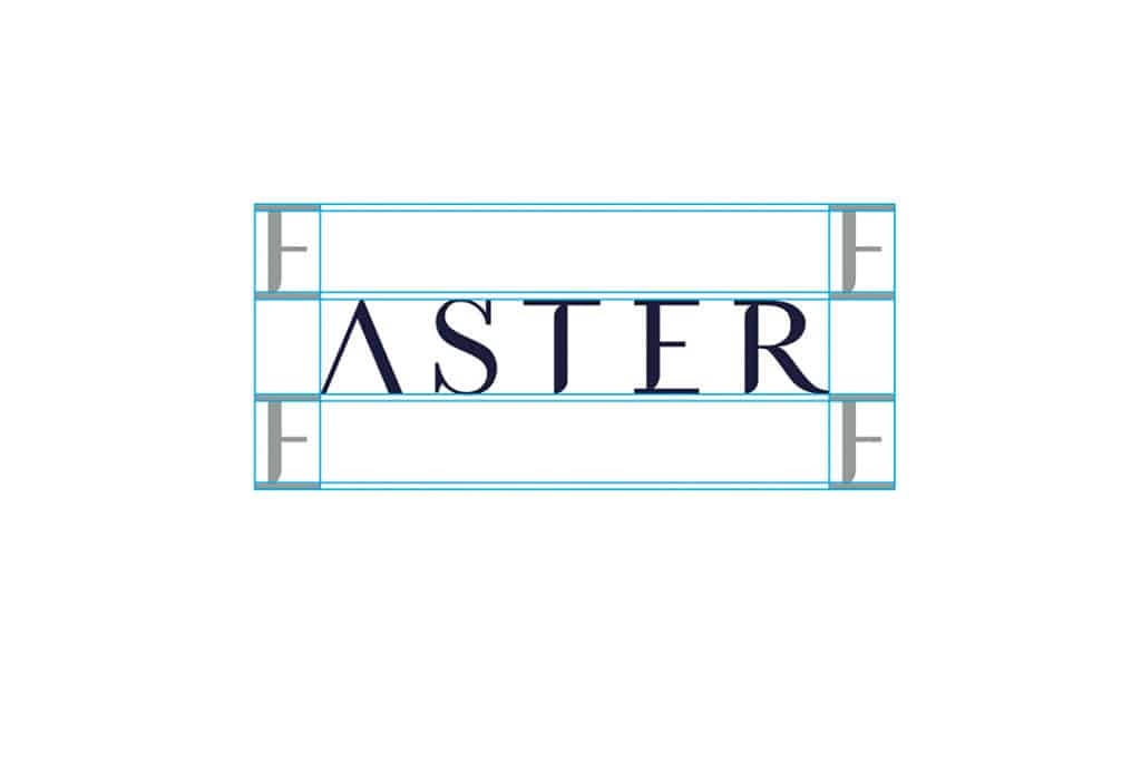 Aster Brand Identity - Lexicon